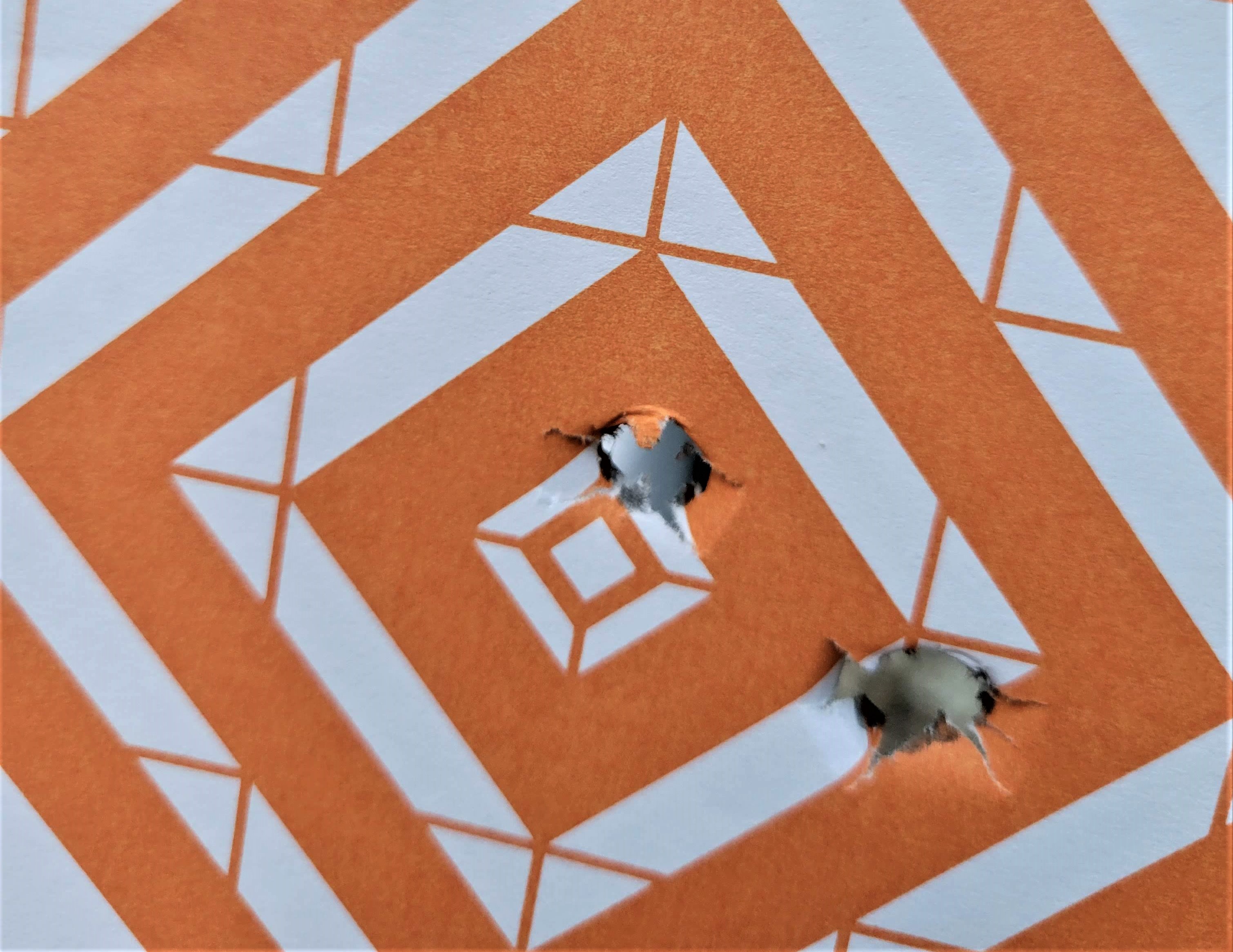 How to Reduce Lead Exposure When Shooting – Modern Survival Junkie