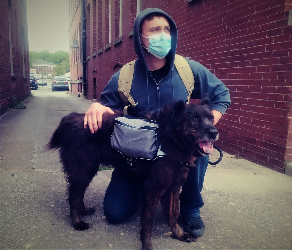 Bugging Out With Your Dog – Modern Survival Junkie